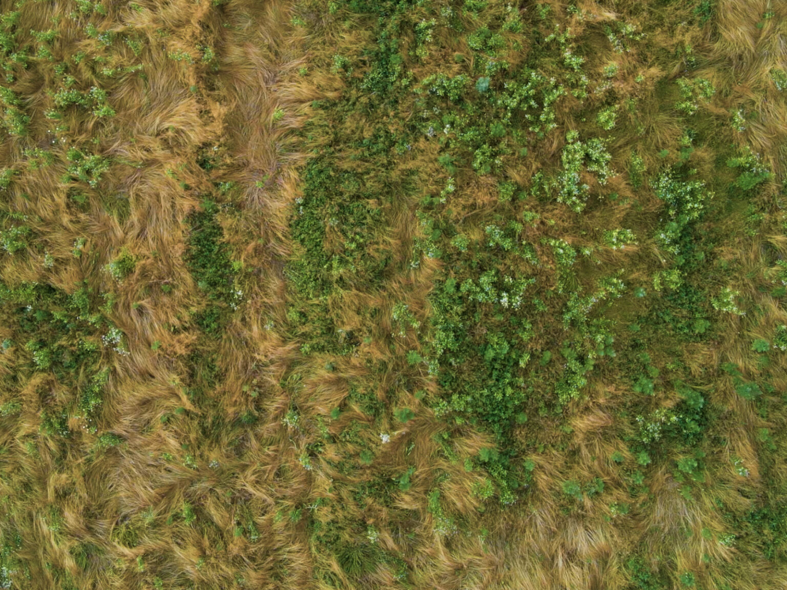 Library Field – Metropolitan New York Library Council